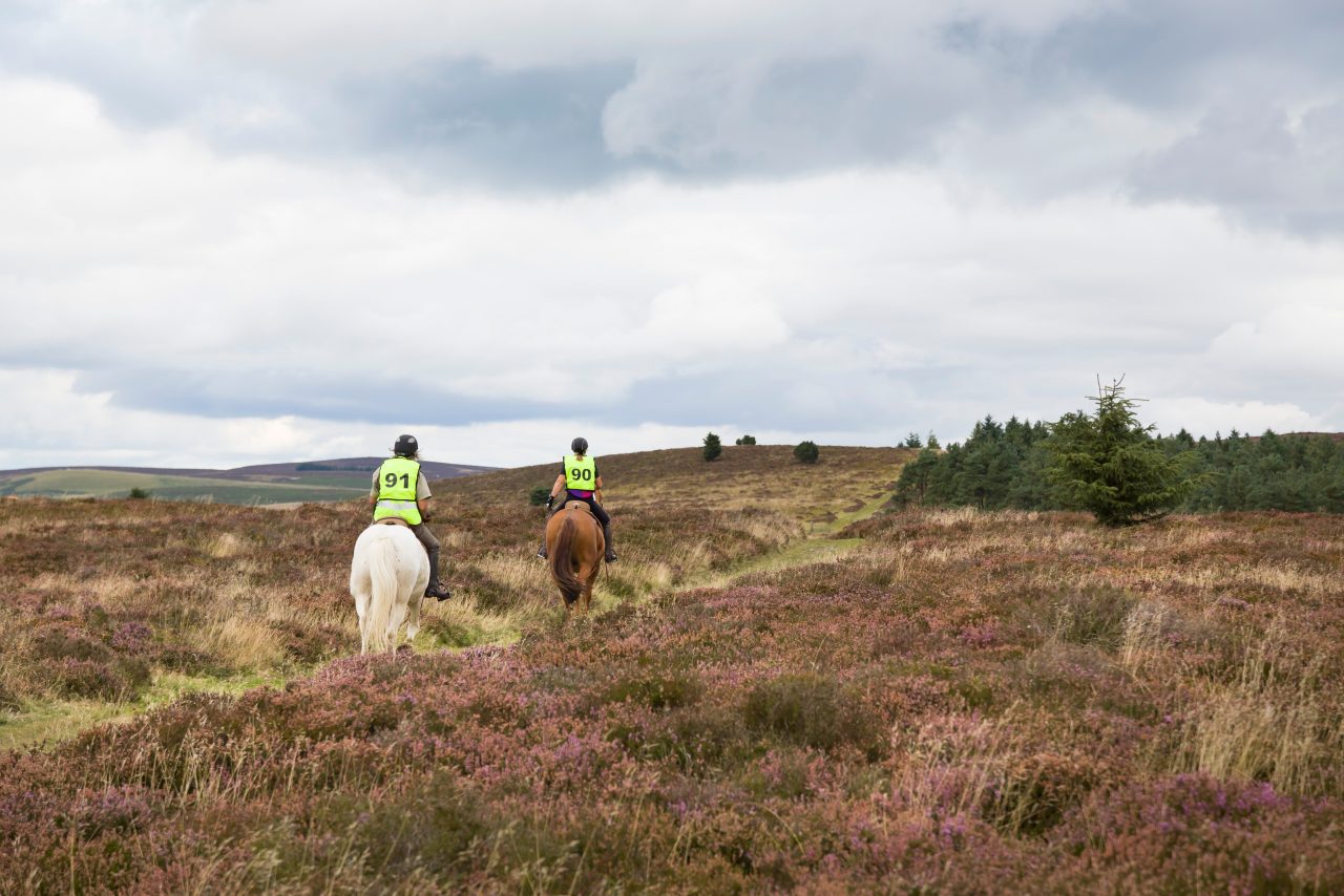 Letterboxing - Duchy House